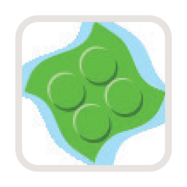 envire rubber sheet & tile - Roppe